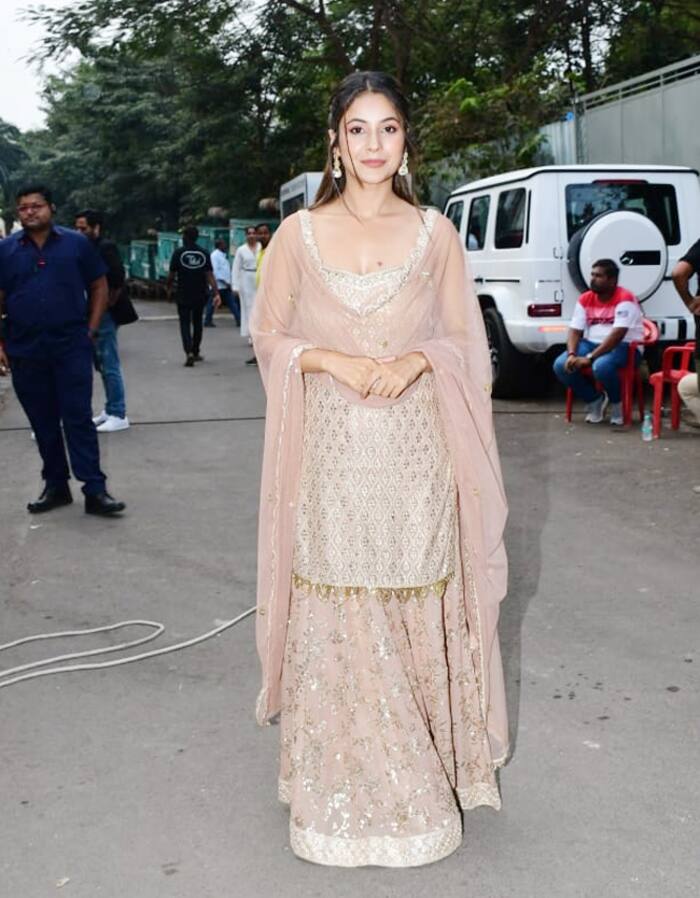 Shehnaaz Gill Gives Punjabi Kudi Vibes in Rose Gold Skirt, Suit And ...