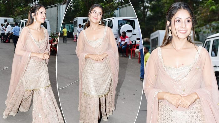 Shehnaaz Gill Gives Punjabi Kudi Vibes in Rose Gold Skirt, Suit And ...