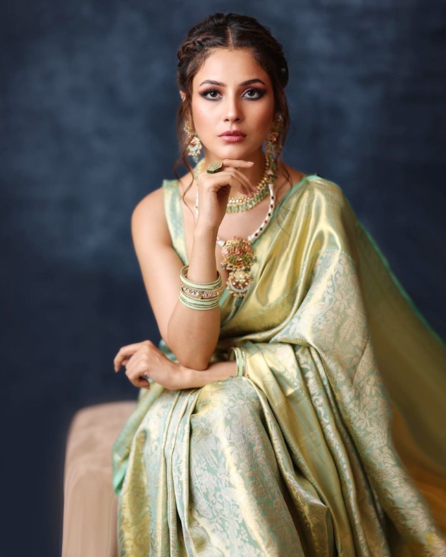 Shehnaaz Gill Gives Desi Style Goals in Gorgeous Kanjivaram Saree ...
