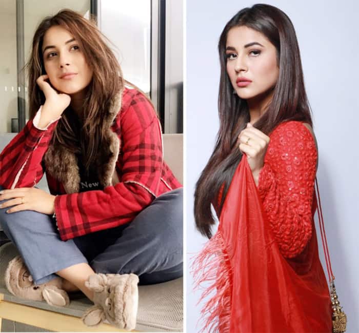 Shehnaz Gill Kaurs Smoking Hot Look