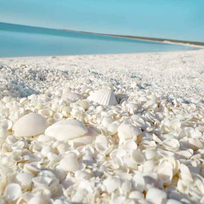 12 most UNUSUAL beaches in the world!