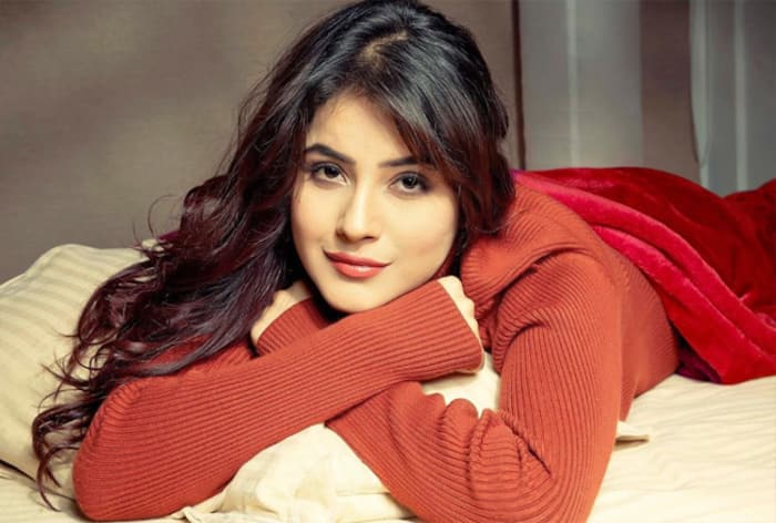 Shenaaz Gill Latest Photoshoot Goes Viral