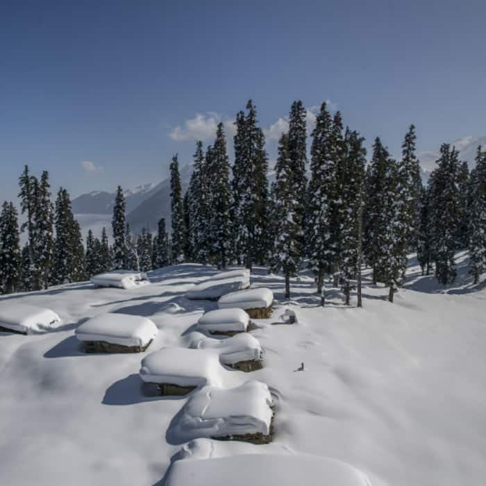 White Blanket Covers Jammu And Kashmir's Gulmarg After Heavy Snowfall
