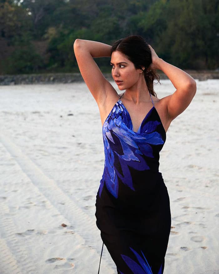 Sonam Bajwa Crashes Internet With Her Hot Backless Dress And Curvaceous
