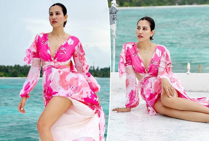 Sonnalli Seygall And Ashesh Enjoy Each Other's Company in Solace