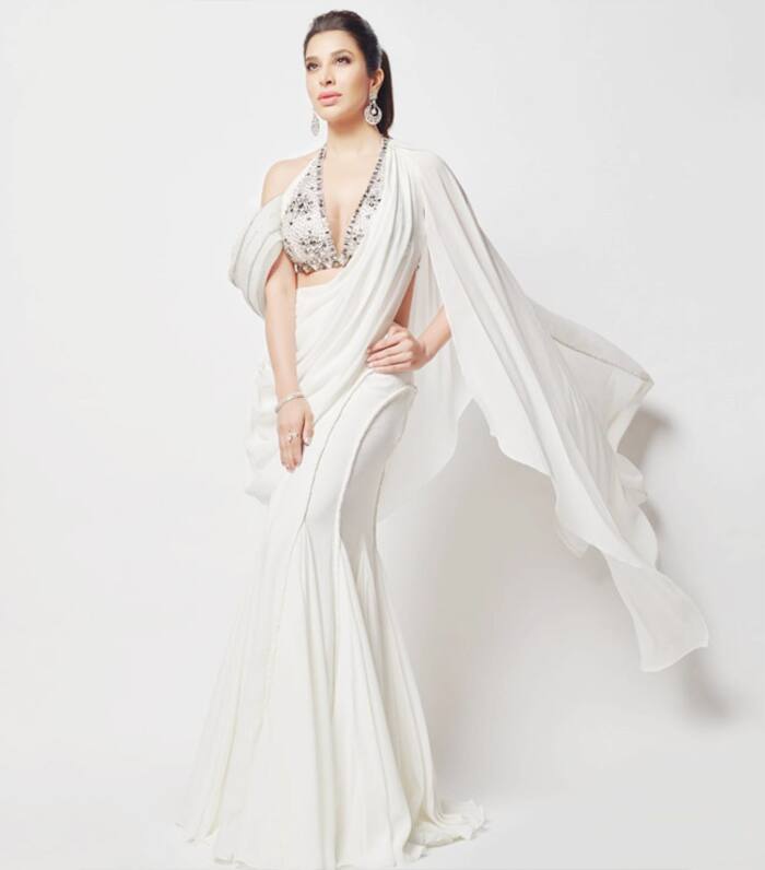 Sophie Choudry, Desi Girl
