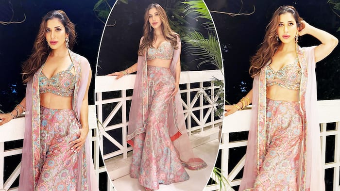 Sophie Choudry Wears Fusion Outfit Worth Rs 55,000 For Diwali Party - Like or Love?