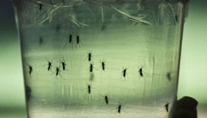 Measures to Prevent Dengue