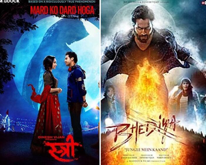 Indian Movies That Are Being Made as Cinematic Universe l PHOTOS