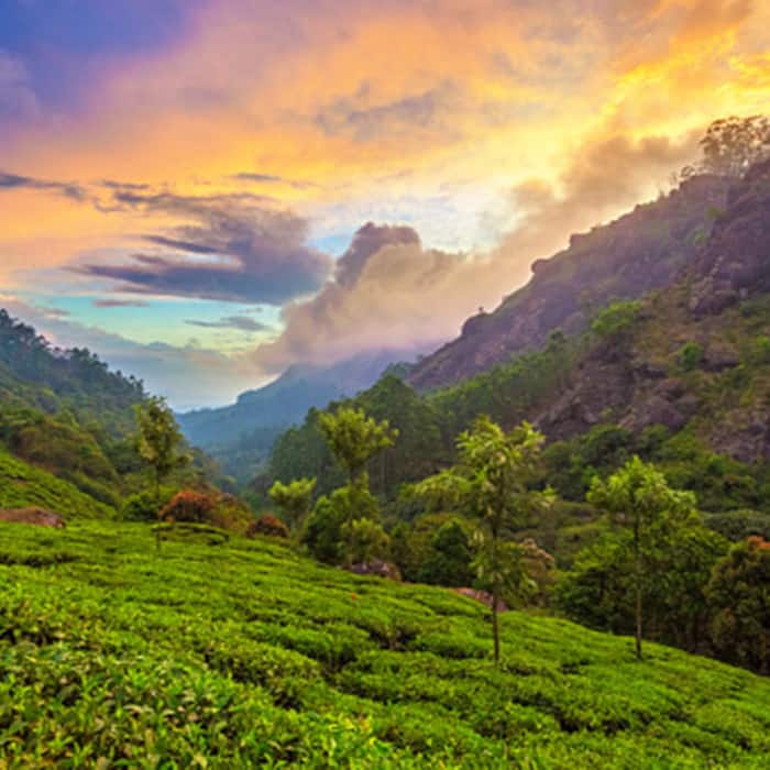 Places in India that can be a photographer’s delight during Monsoon!