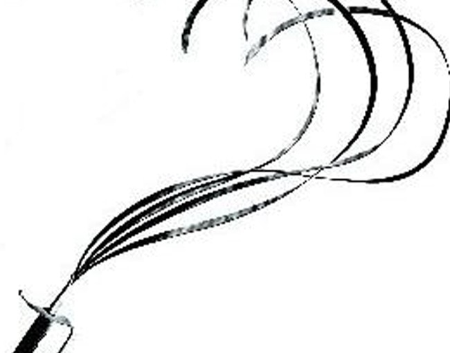 The ‘Urumi’ is an Indian weapon which originated in Kerala