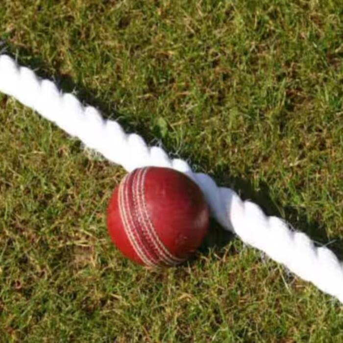 This fierce batter caused chaos on the cricket field
