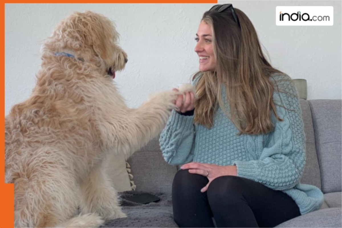 THIS star CSK player married to her girlfriend ahead of IPL 2025, His ...