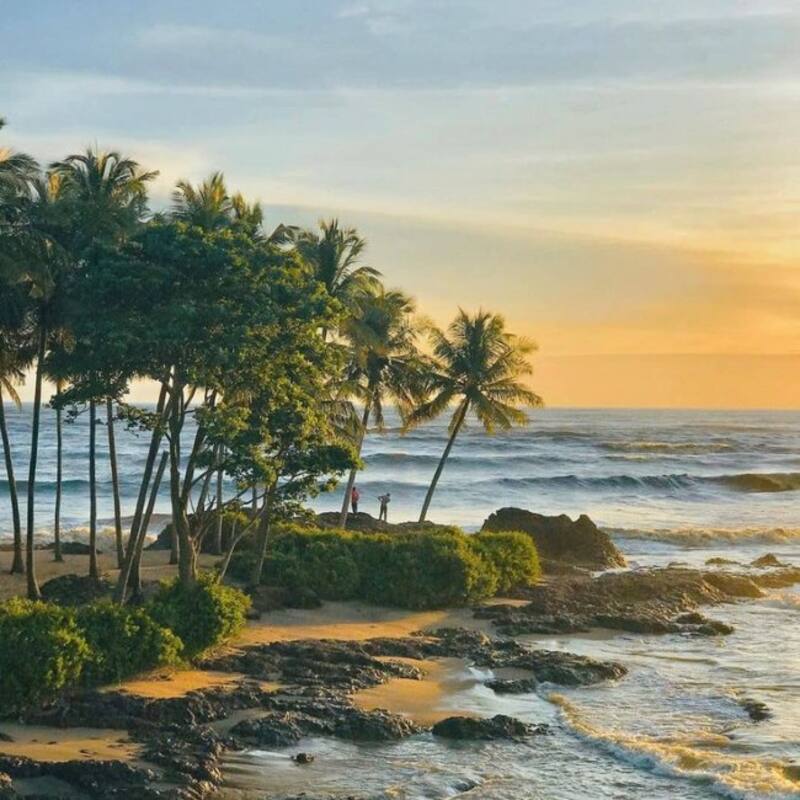 7 Most Beautiful Beaches In Kerala You Must Visit