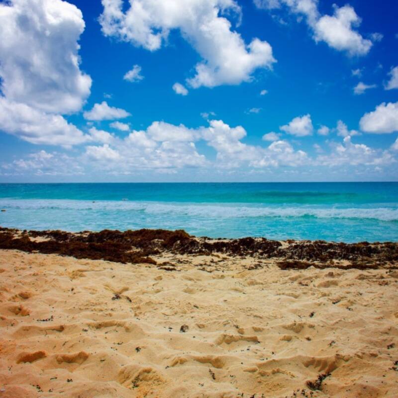 Indias 8 Most Epic Beaches To Enjoy With Your Partner