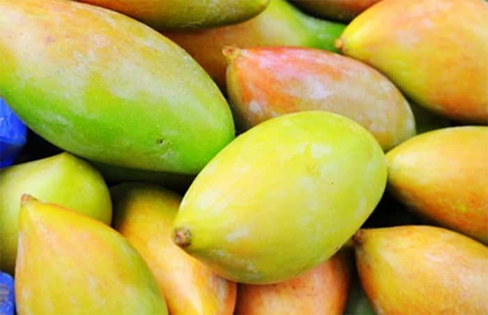 7 Popular Mango Varieties in India and Tips to Identify Them