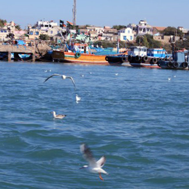 Travel to ‘Hope Island’ in Andhra Pradesh by taking a ferry from ...