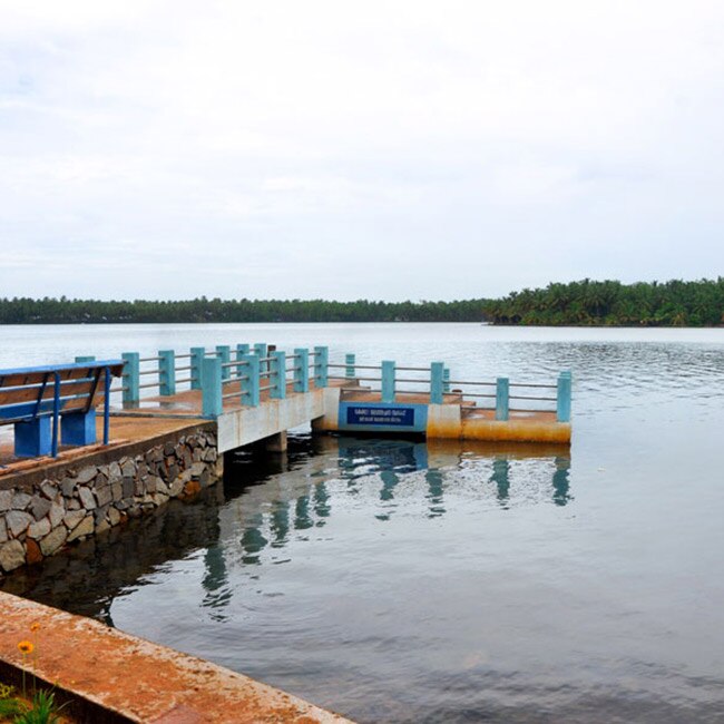 Travel to ‘Divar Island’ in Goa by taking a ferry from Ribandar