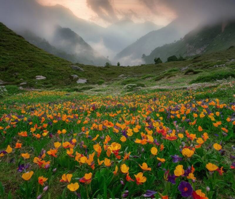 8 Unique Weather-Dependent Experiences In India