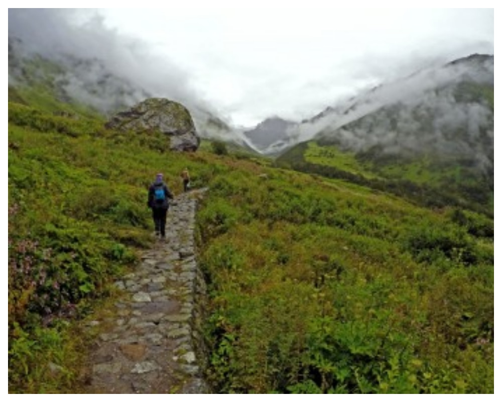 9 Most Beautiful Valleys In India You Must Visit