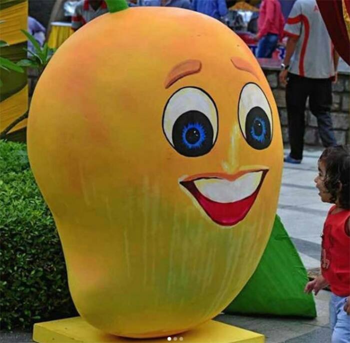 Visitors can also purchase mangoes, mango products, and mango saplings