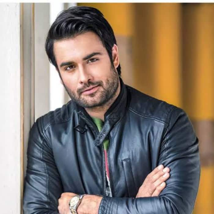 Bigg Boss 18: Vivian Dsena, Karan Veer Mehra, Chum Daran, and Rajat ...