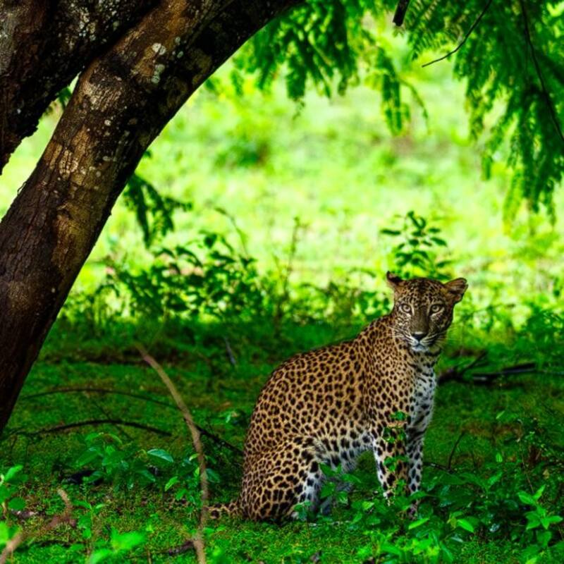 8 Wildlife Sanctuaries Perfect For Photography