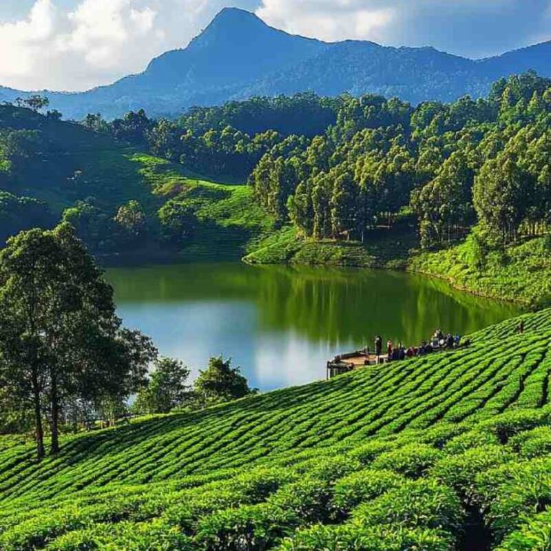 7 Scenic Hill Stations In India That Aren’t Crowded