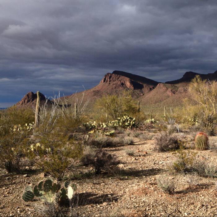 Top 10 largest national parks in the world