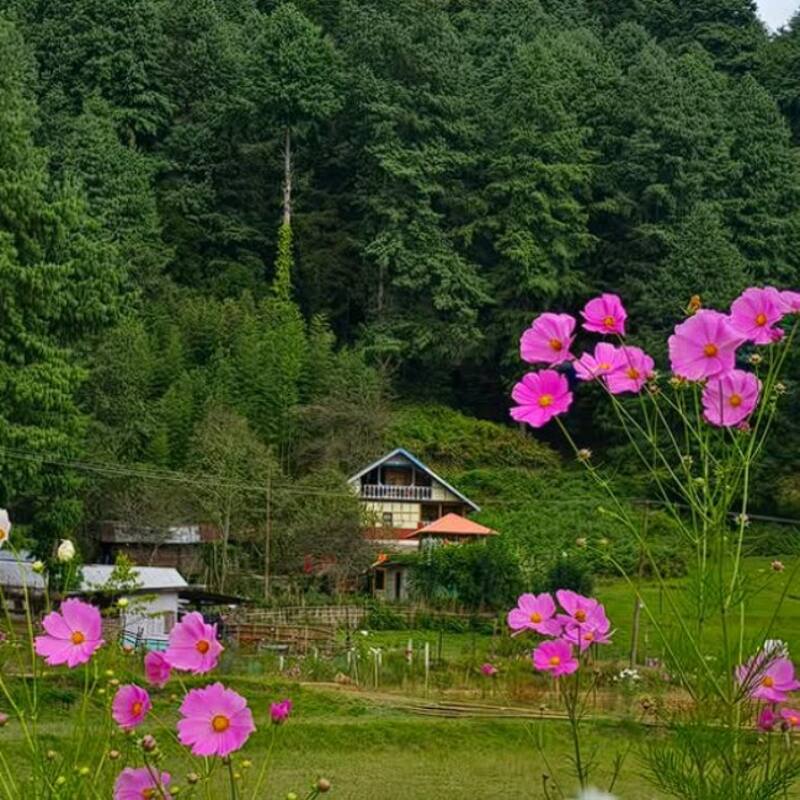 7 Scenic Hill Stations In India That Aren’t Crowded