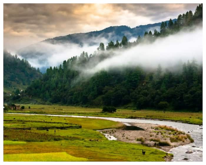 9 Most Beautiful Valleys In India You Must Visit