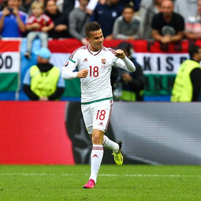 UEFA Euro Cup 2016 Group F match: Hungary’s suprise 2-0 victory against ...
